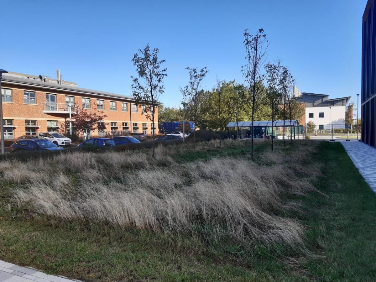 95 Park Drive | ASA Landscape Architects