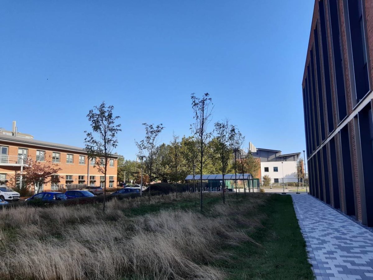 95 Park Drive | ASA Landscape Architects