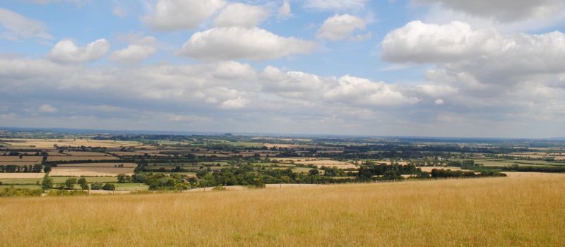 LVIA or LVA; do I need one and what are the differences? | ASA ...